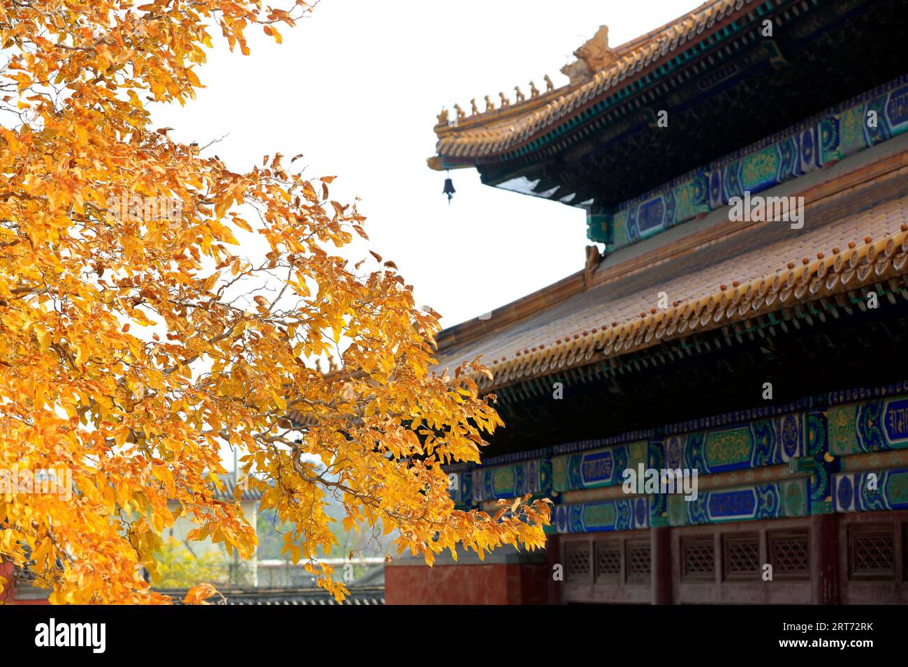 Architectural landscape of eaves of ancient temples in China Stock ...