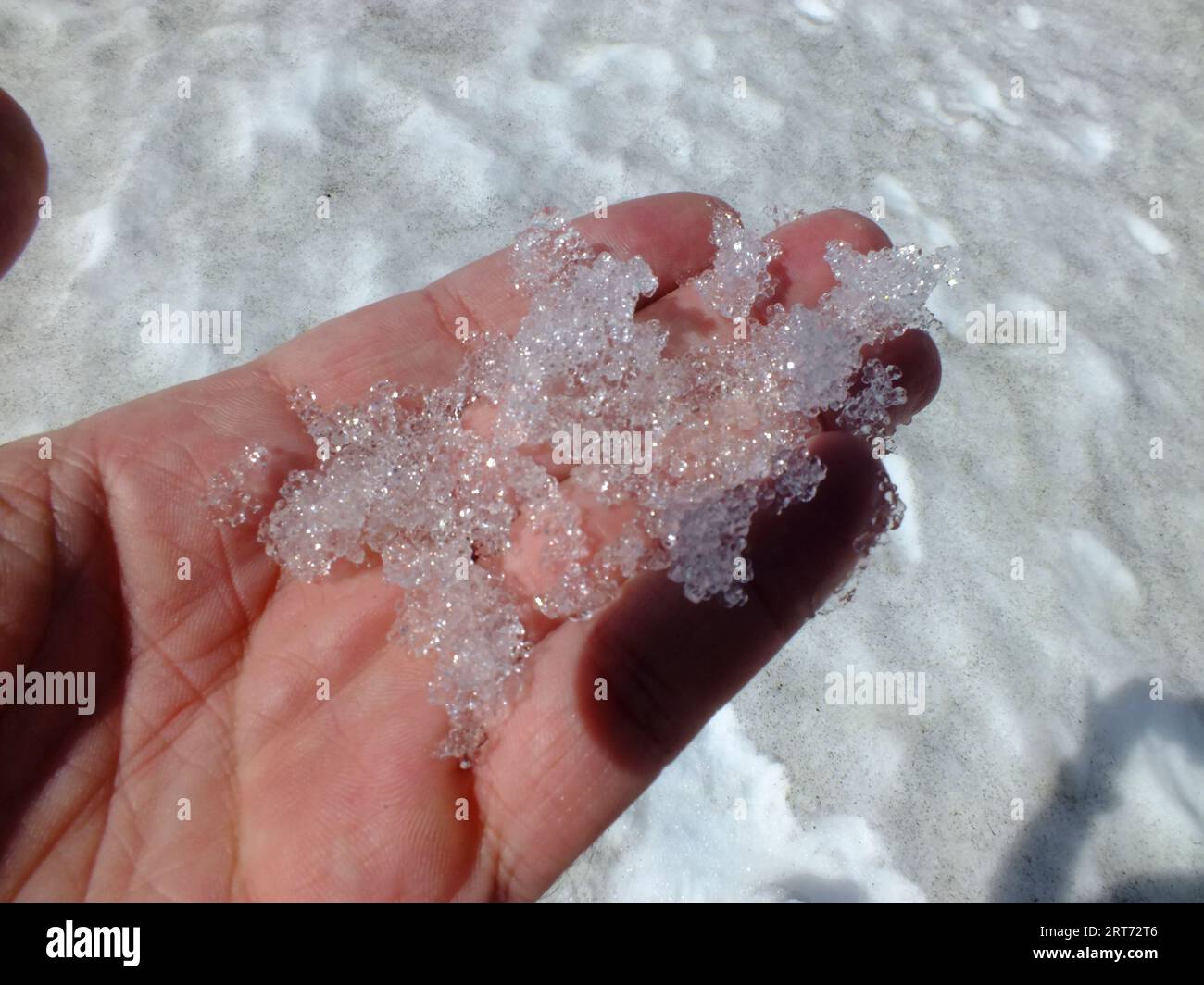 hand with snow in southern Chile south america Stock Photo - Alamy
