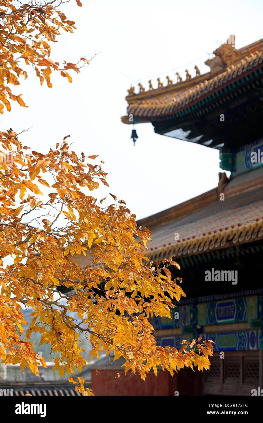Architectural landscape of eaves of ancient temples in China Stock ...