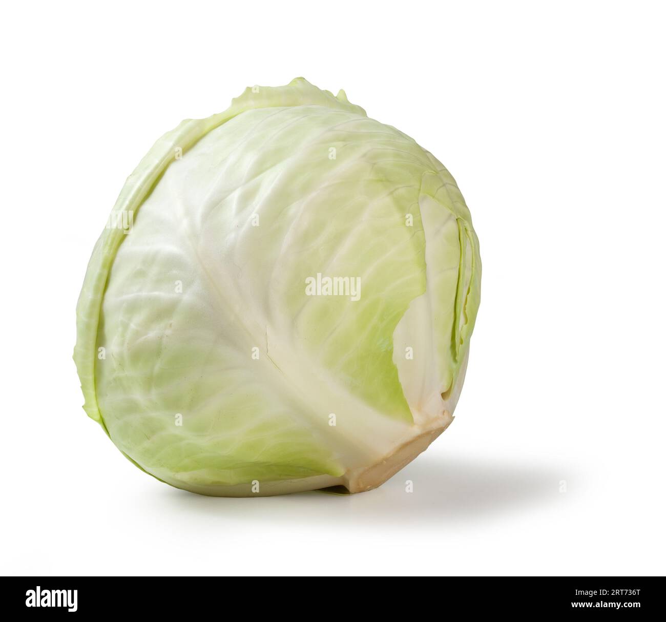 Cappuccio Cut Out Stock Images & Pictures - Alamy