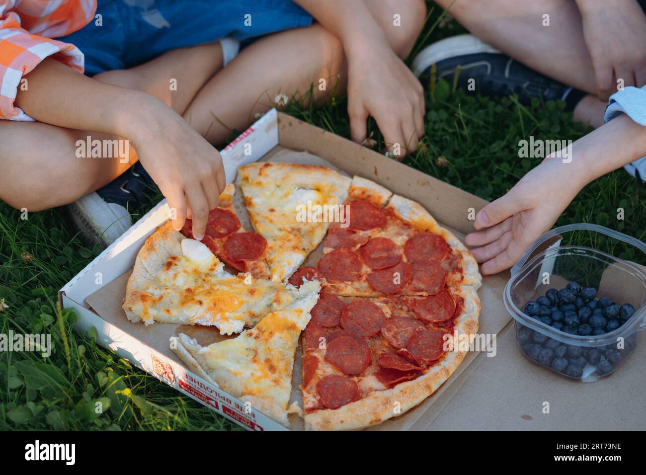 children having lunch on grass after school. Kids hands grabbing slices ...
