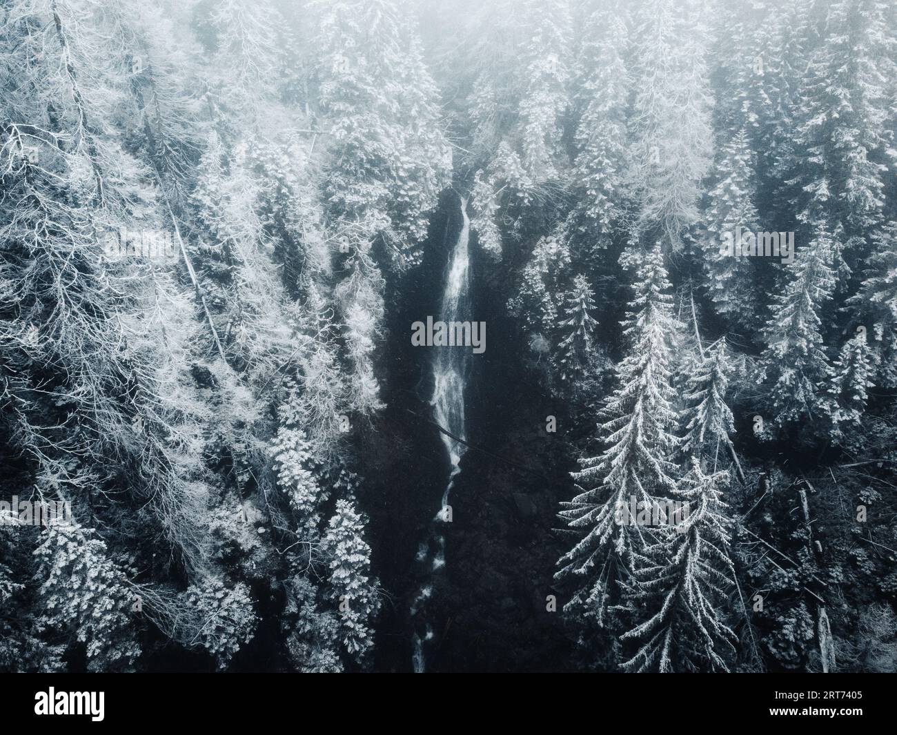 Beautiful and powerful snow covered waterfall with frozen pine trees ...