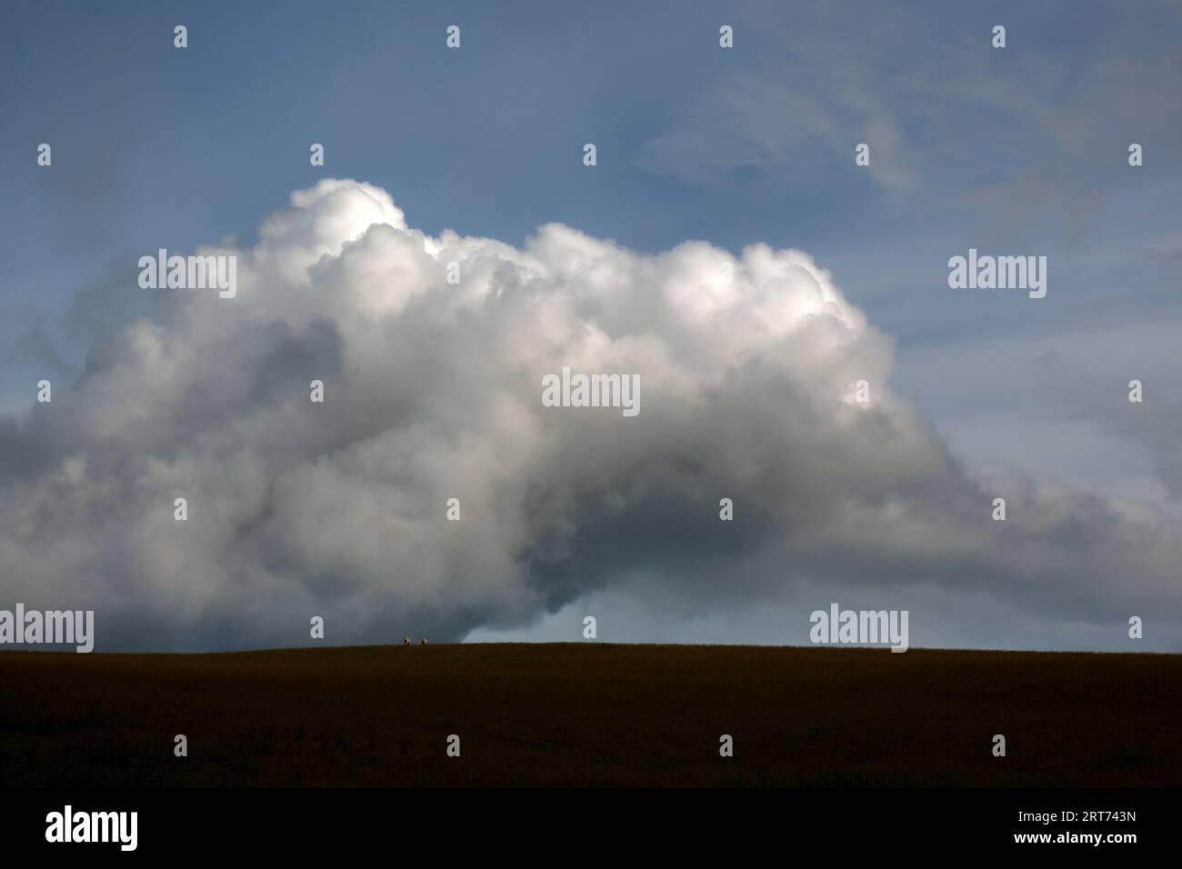 A big cloud in the early morning blue sky Stock Photo - Alamy