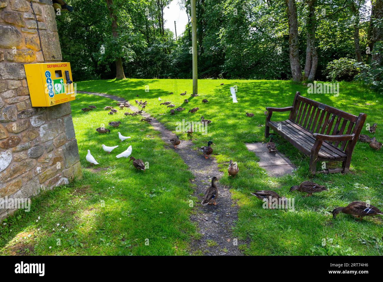 Dunsop Bridge, Clitheroe, Lancashire, England Stock Photo - Alamy