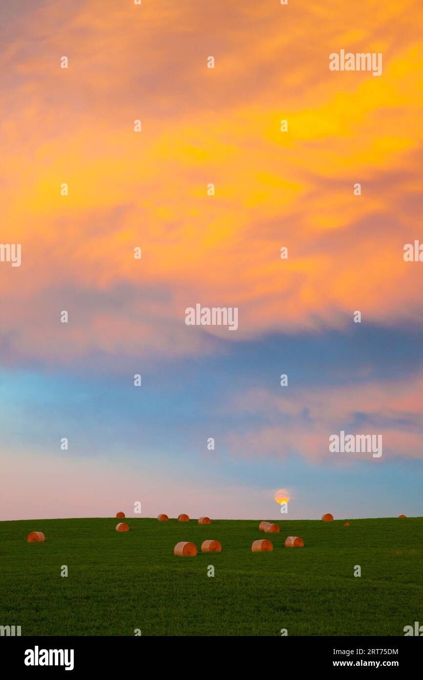 Rye field alberta canada hi-res stock photography and images - Alamy