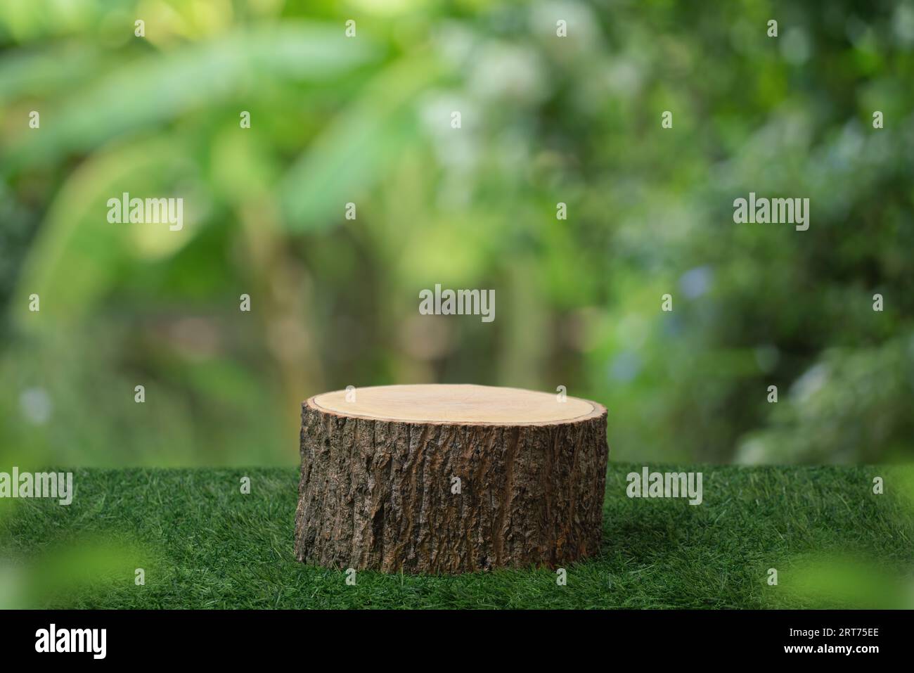 Wood tabletop podium floor in outdoors blur green leaf tropical forest ...