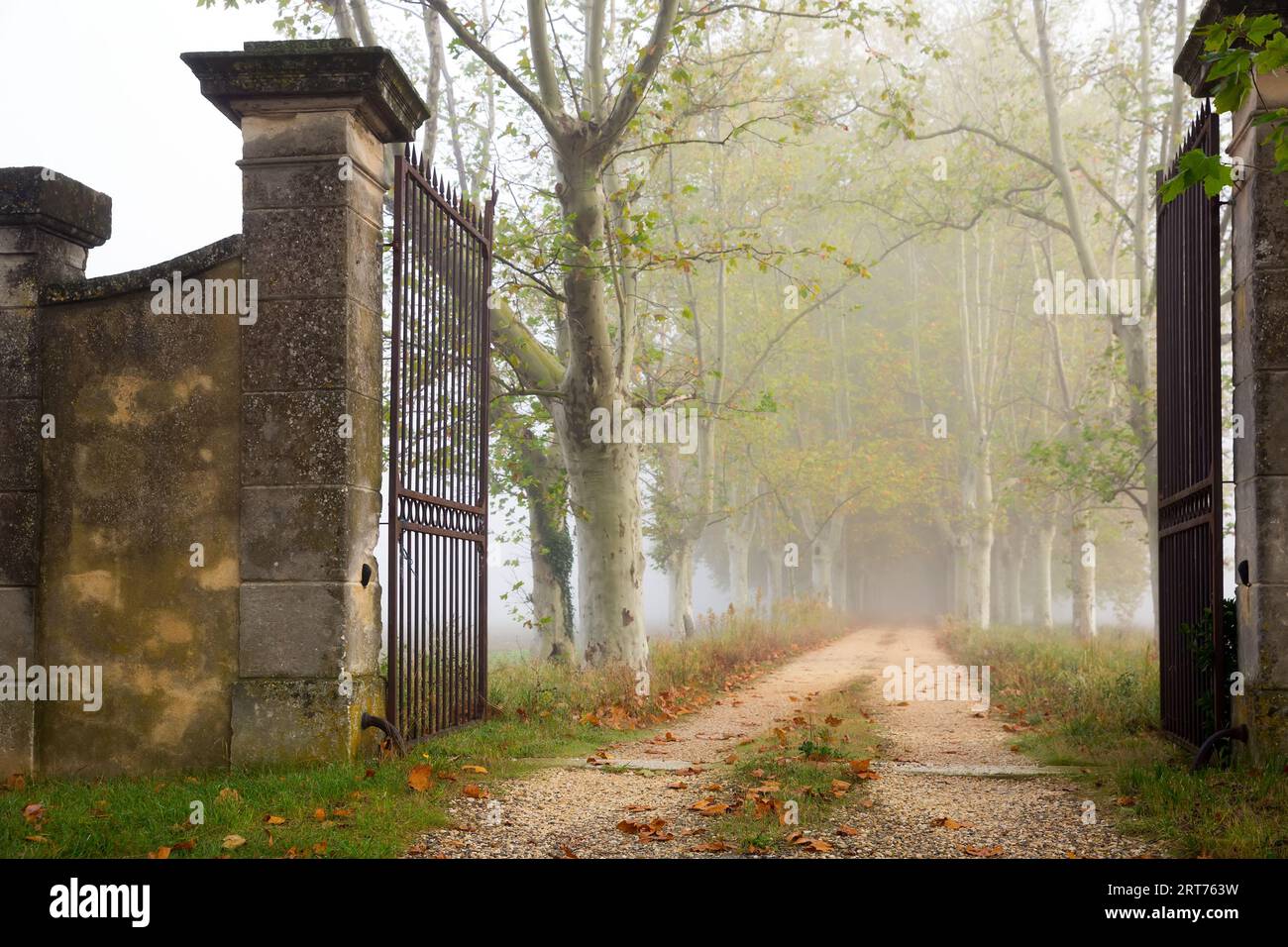 Open iron gate on foggy path Stock Photo - Alamy