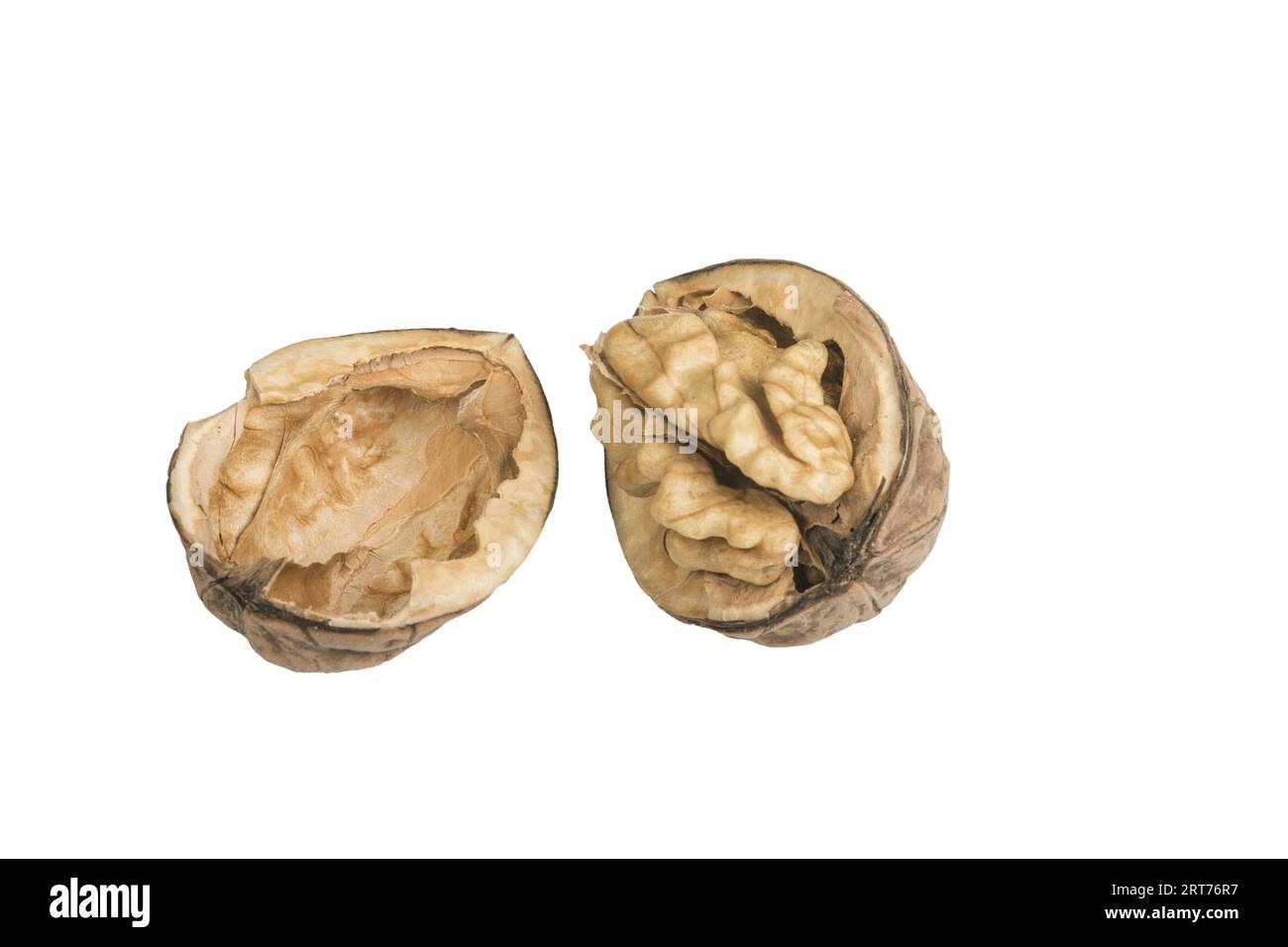 a split walnut on a transparent background Stock Photo - Alamy