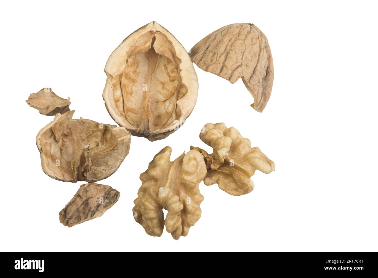 a split walnut on a transparent background Stock Photo - Alamy