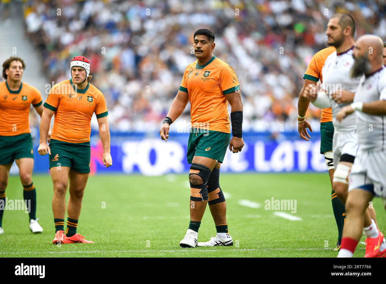 Will skelton wallabies hi-res stock photography and images - Alamy