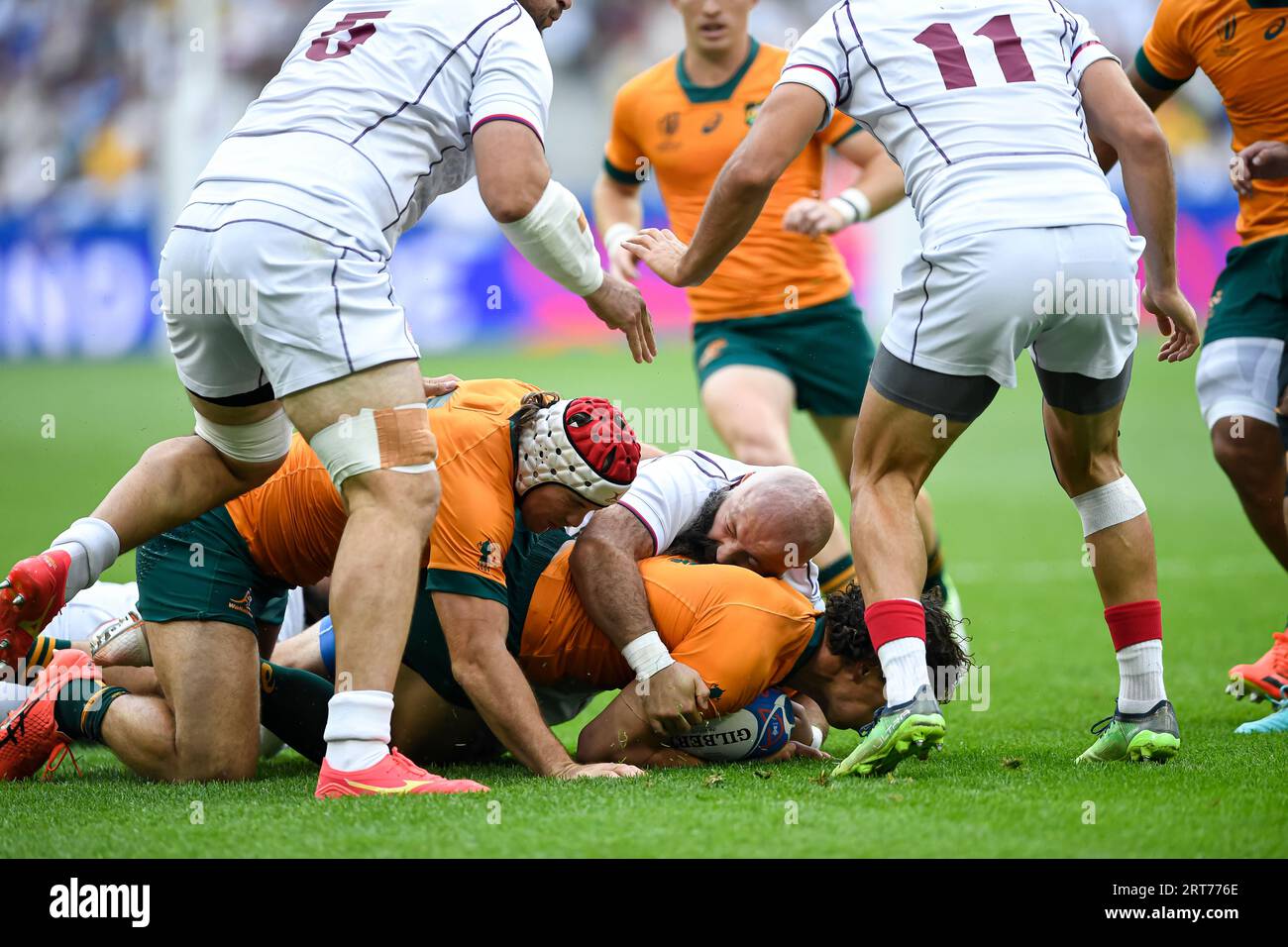 Fraser mcreight wallabies hi-res stock photography and images - Alamy