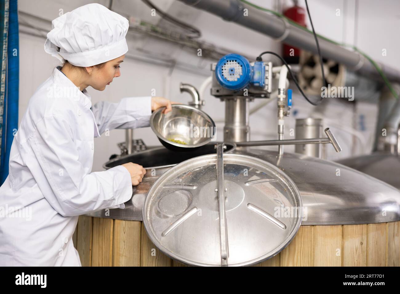 Female brewmaster pouring hop pellets from bowl into fermenter Stock ...