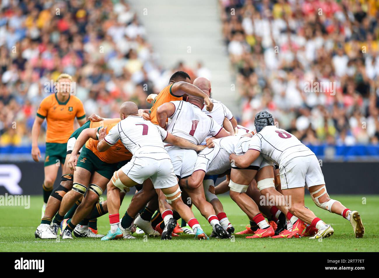 Georgia 2023 hi-res stock photography and images - Alamy