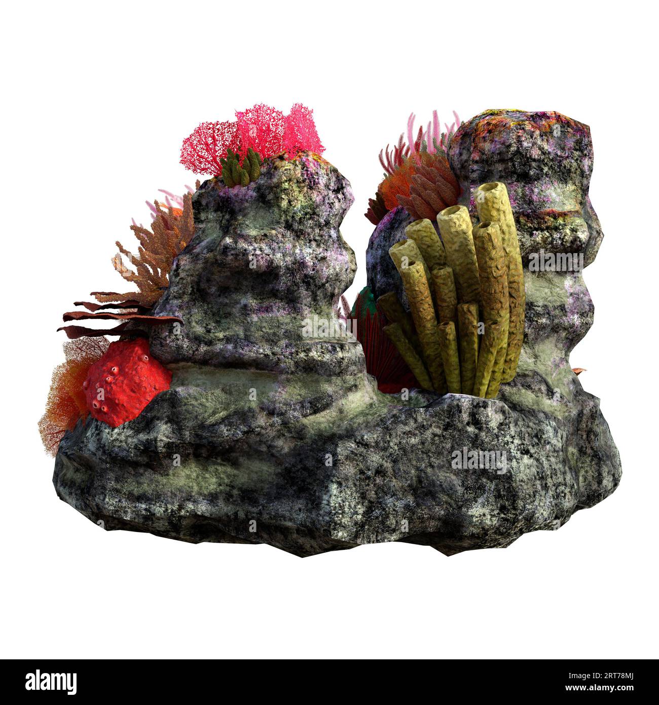 3D rendering of underwater coral, marine invertebrates isolated on ...