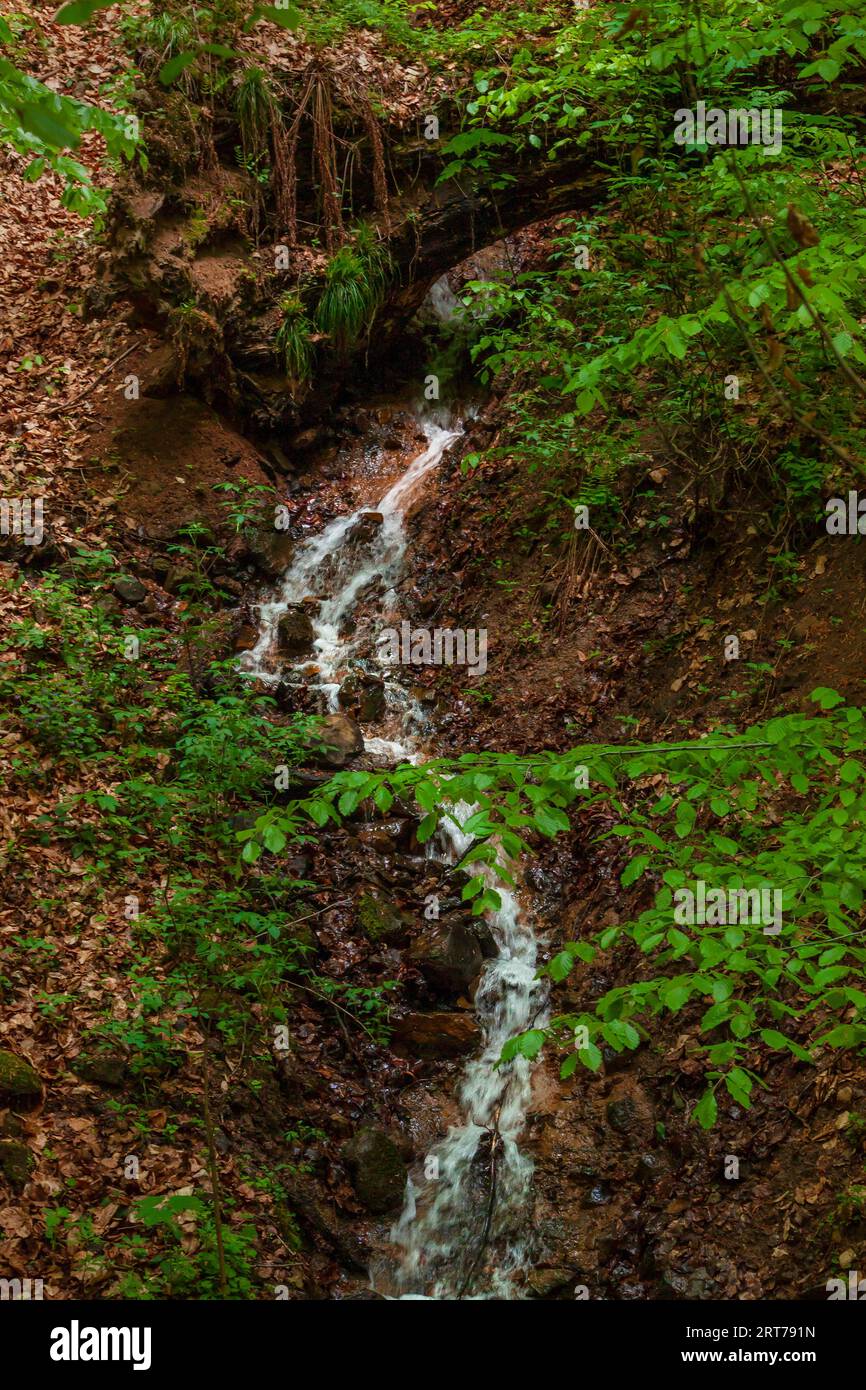 Small brook hi-res stock photography and images - Alamy