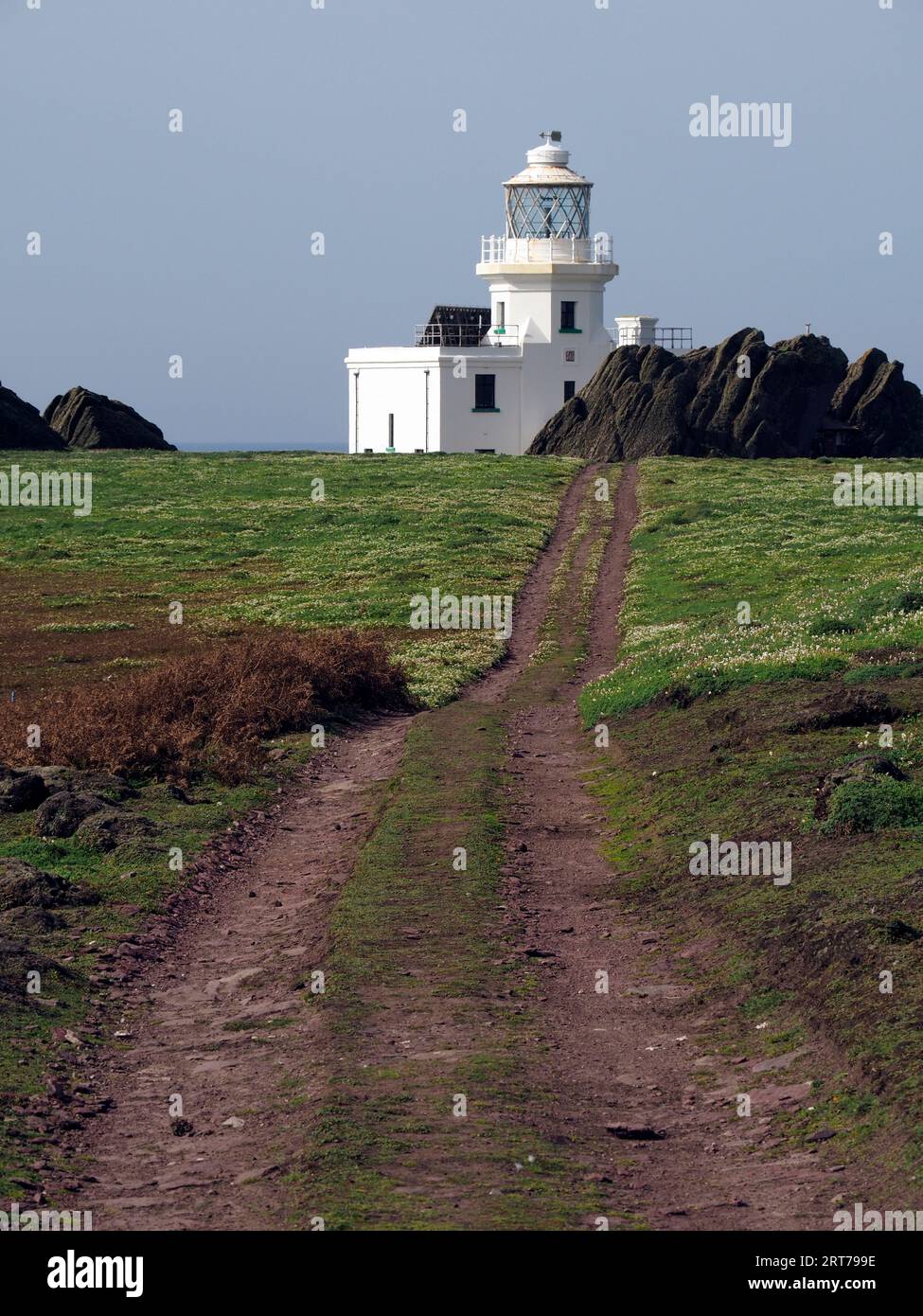 Skokholm hi-res stock photography and images - Alamy