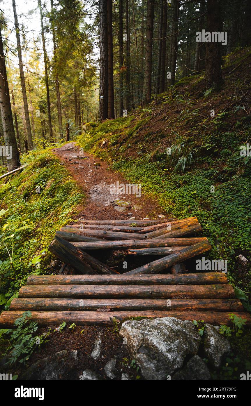 Broken and damaged wooden bridge over the forest stream with colorful ...