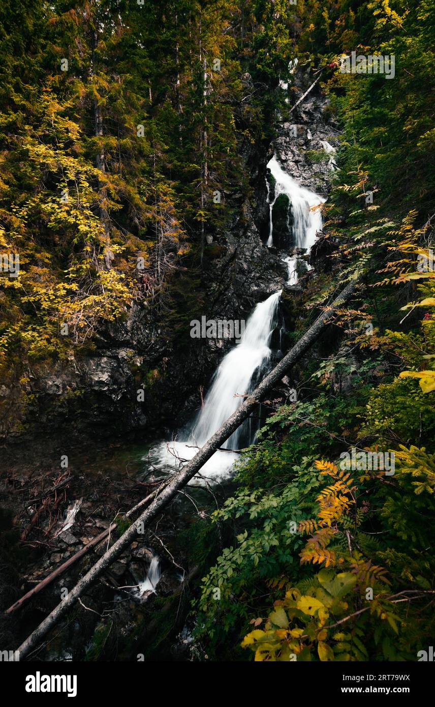 Vertical photo of wooden tree trunk crossing the waterfall in autumn ...