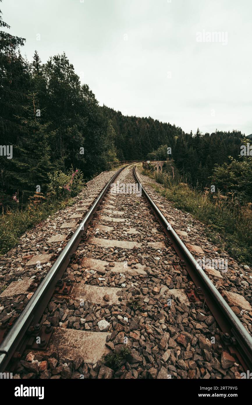 Photo of train rails in country landscape in the middle of forest with ...