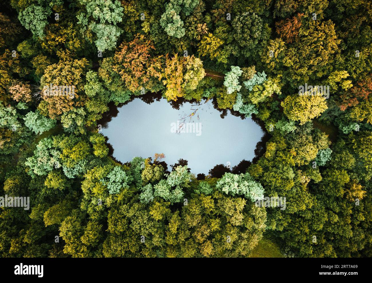 Top view - photo by drone (UAV) of the beautiful and tranquil lake with ...