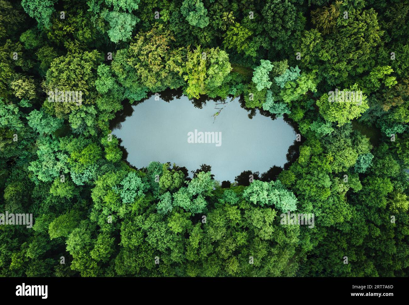 Water pond top view hi-res stock photography and images - Alamy