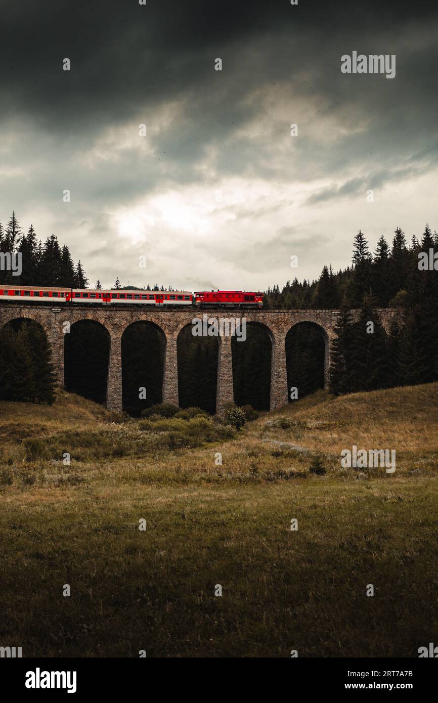Vertical photo of train on a viaduct in the forest of Telgart -Slovakia ...