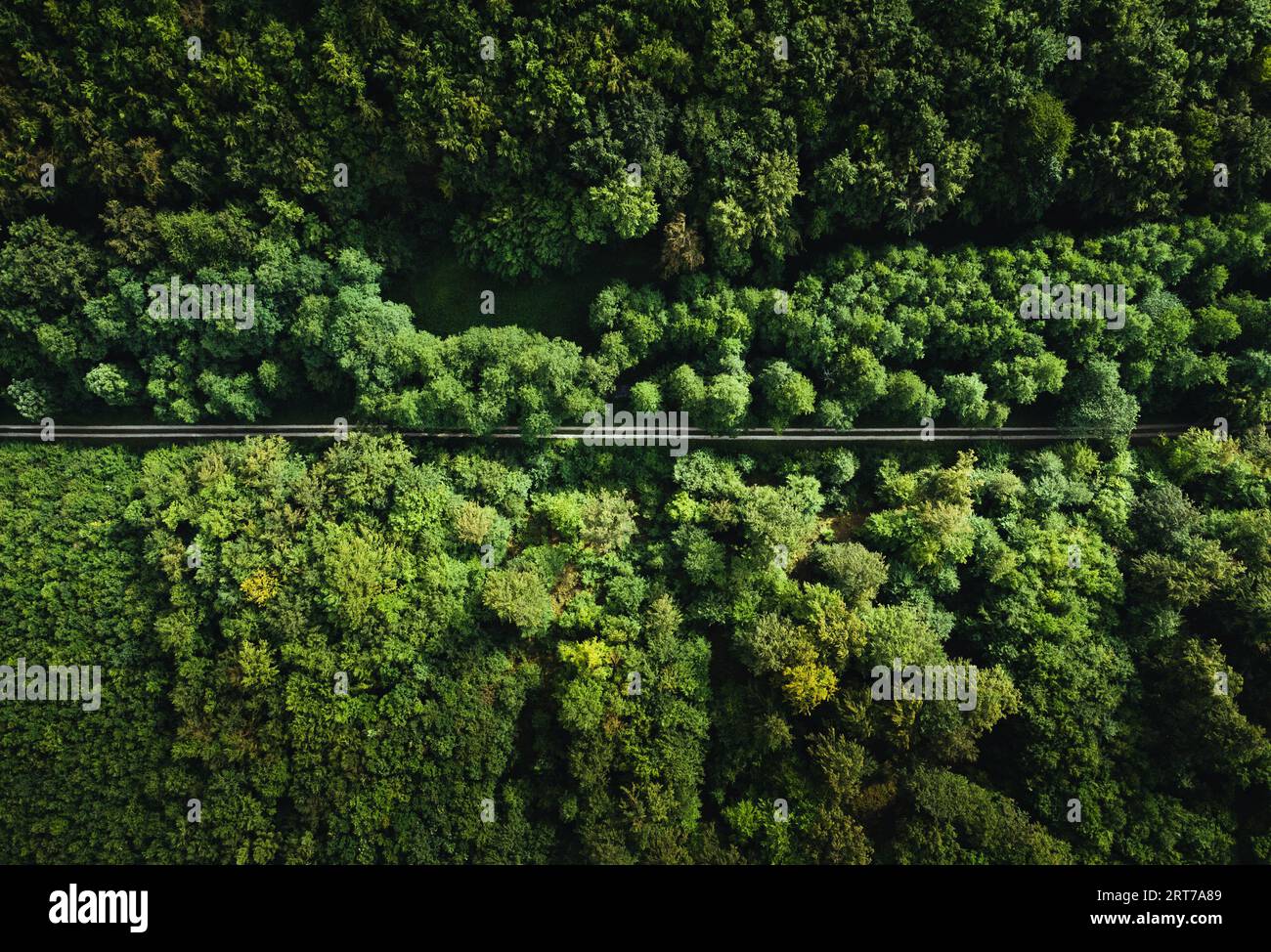Horizontal aerial photo by drone (top view) of amazing green forest ...