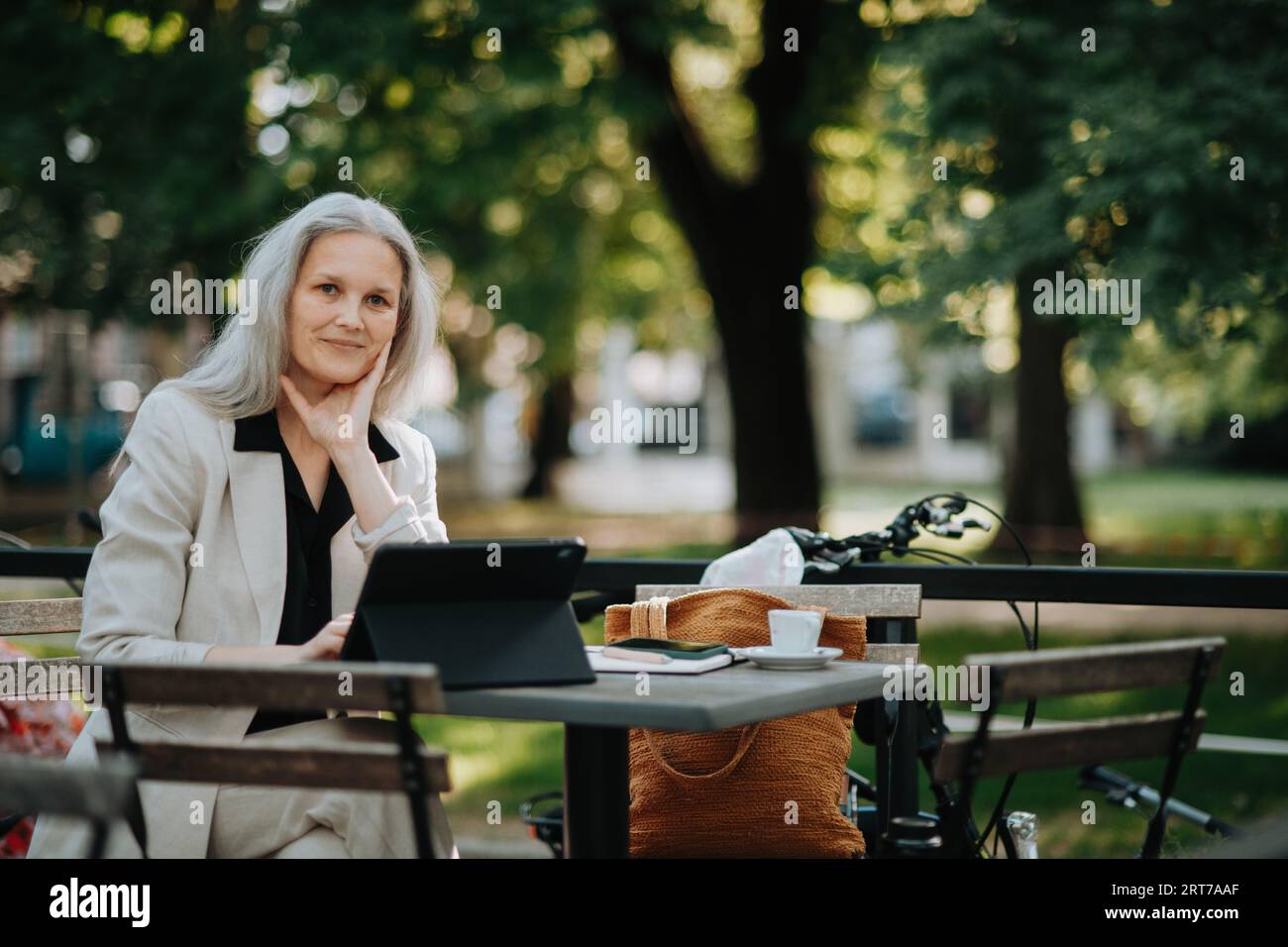 Portrait of beautiful female manager in middle age with gray hair ...