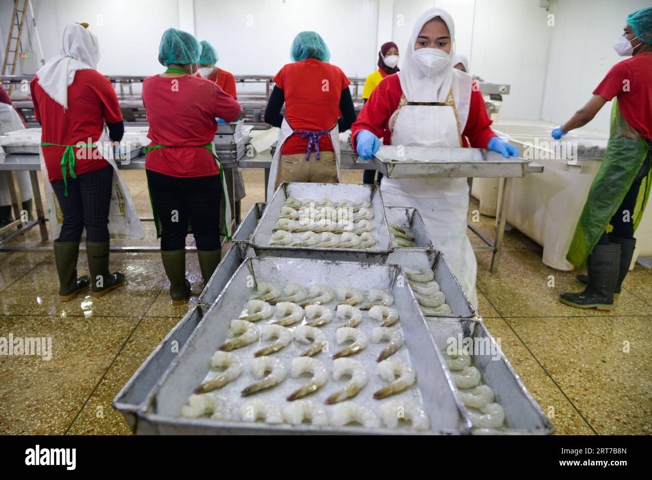 Jakarta, Indonesia. 29th Aug, 2023. Workers work on the prawn ...
