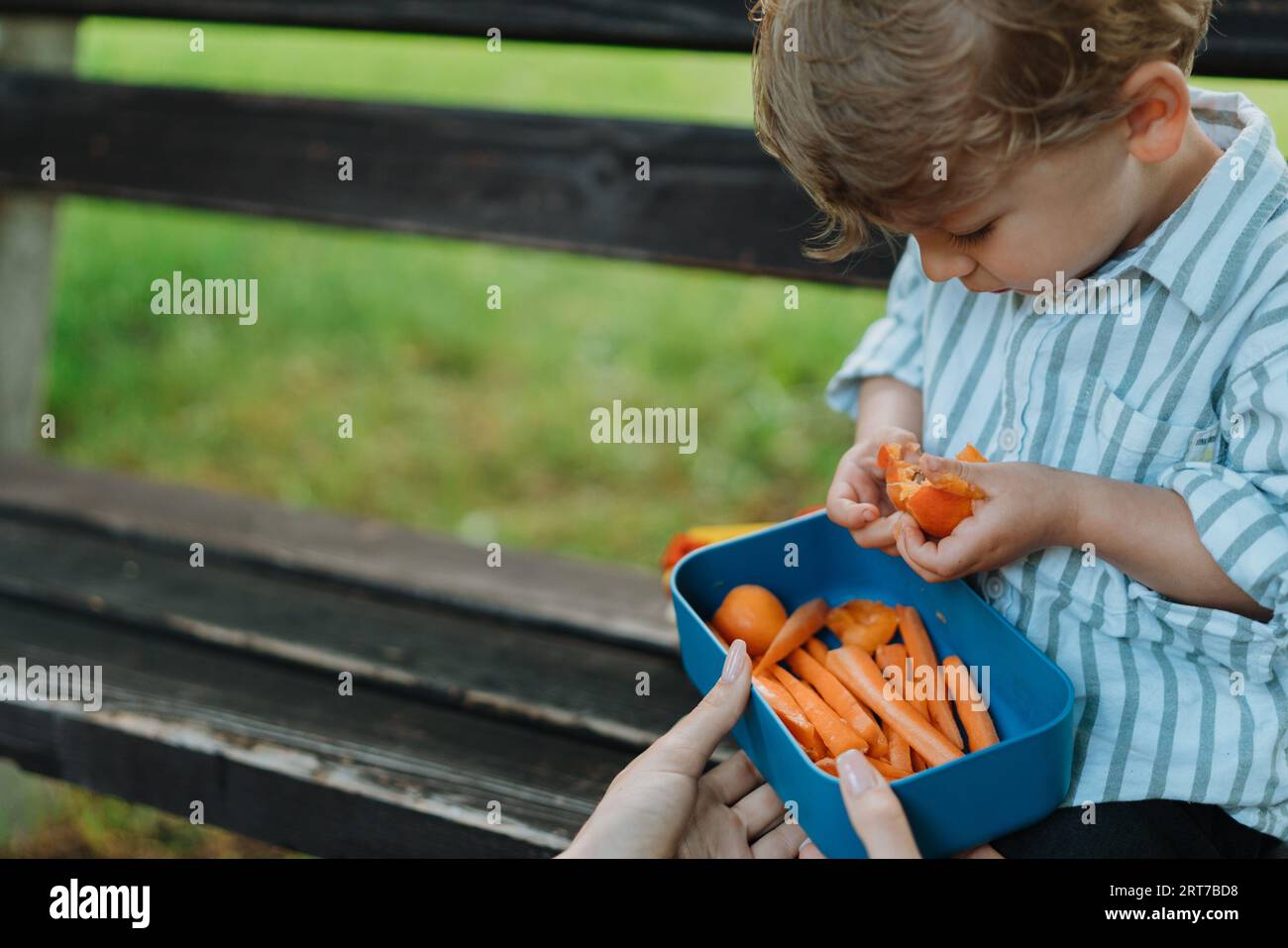 Cute little boy eating apricot from lunch box, sitting on a park bench ...