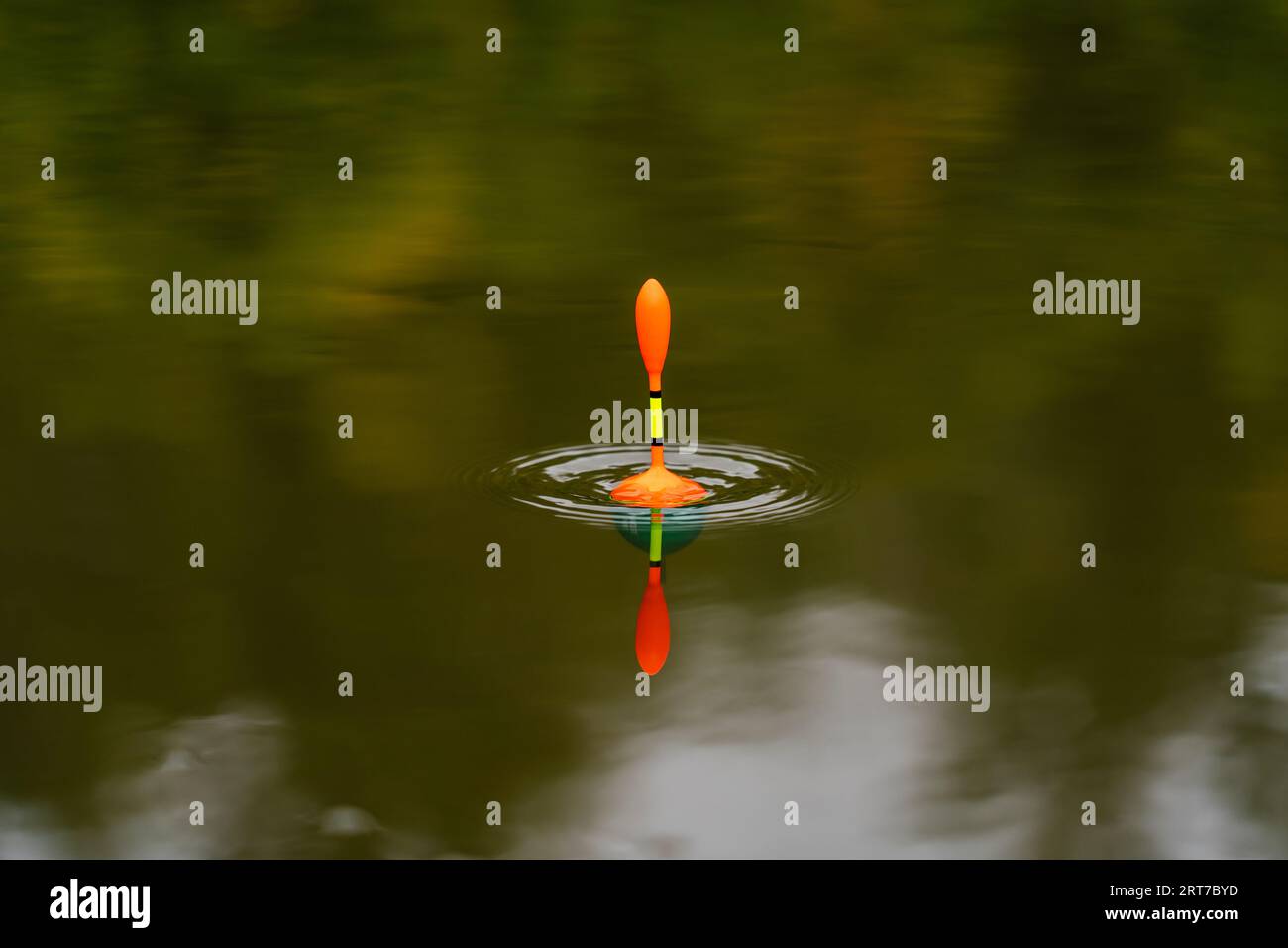 A close-up of the float signals a bite in calm water Stock Photo - Alamy