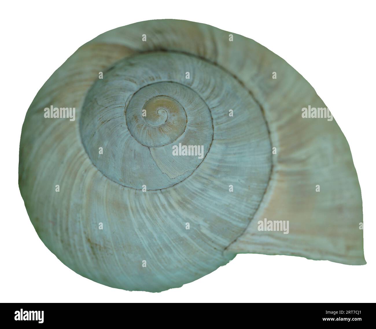 Objects Things Different Isolated Against White Background Stock Photo ...