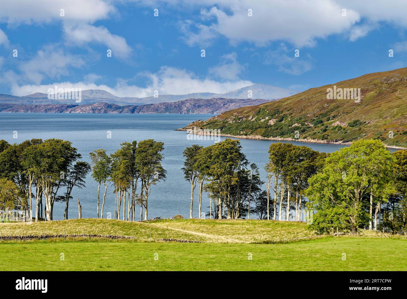 Loch ba trees hi-res stock photography and images - Alamy