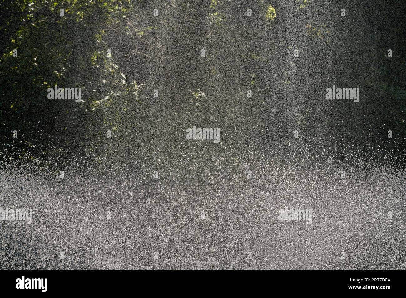 Water droplets and mist over fountain Wroclaw Botanical gardens poland ...