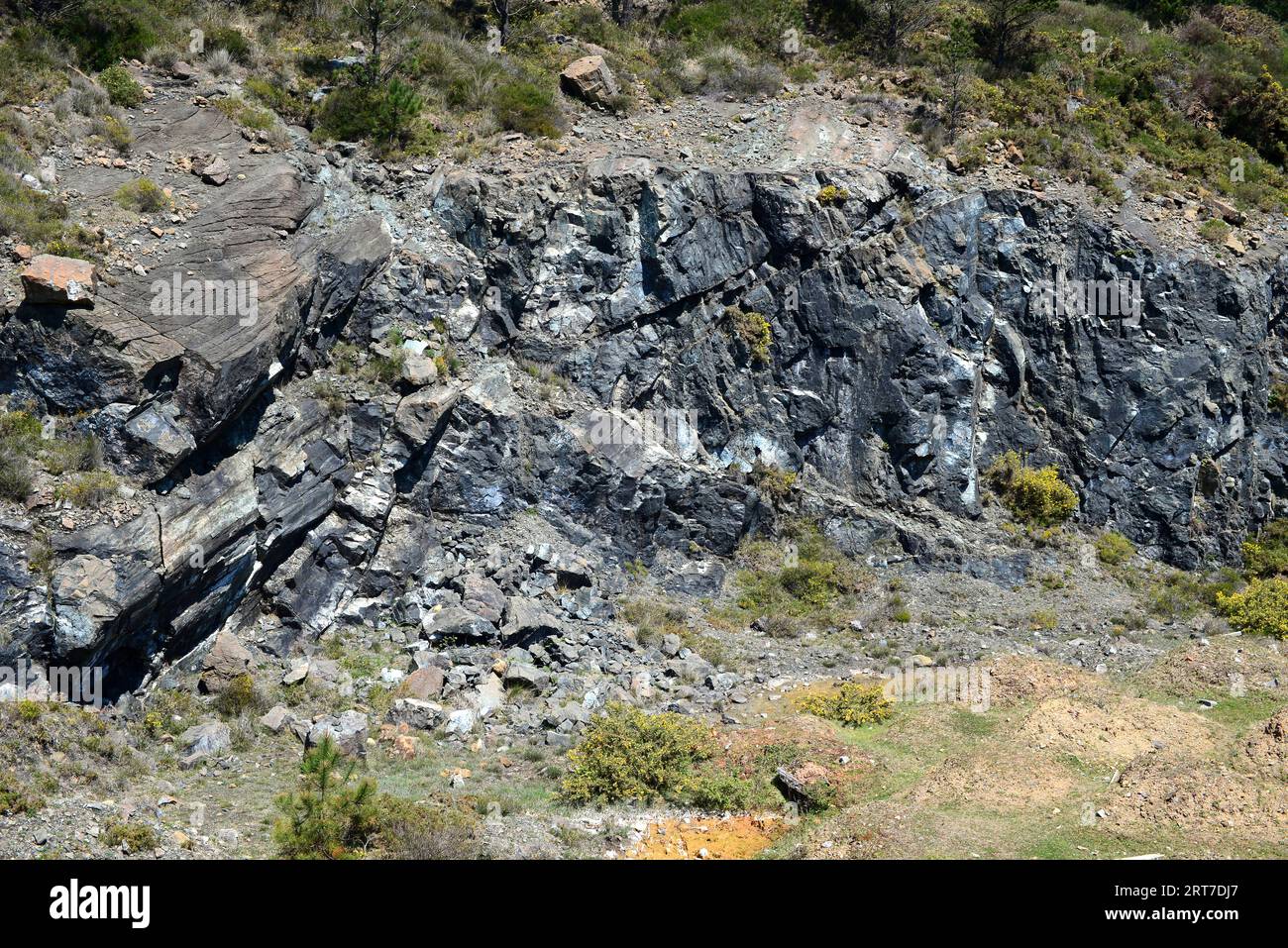 Dunite or olivinite is an ultramafic plutonic rock (peridotite group ...