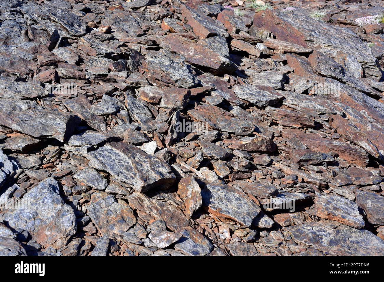 Black schist hi-res stock photography and images - Alamy