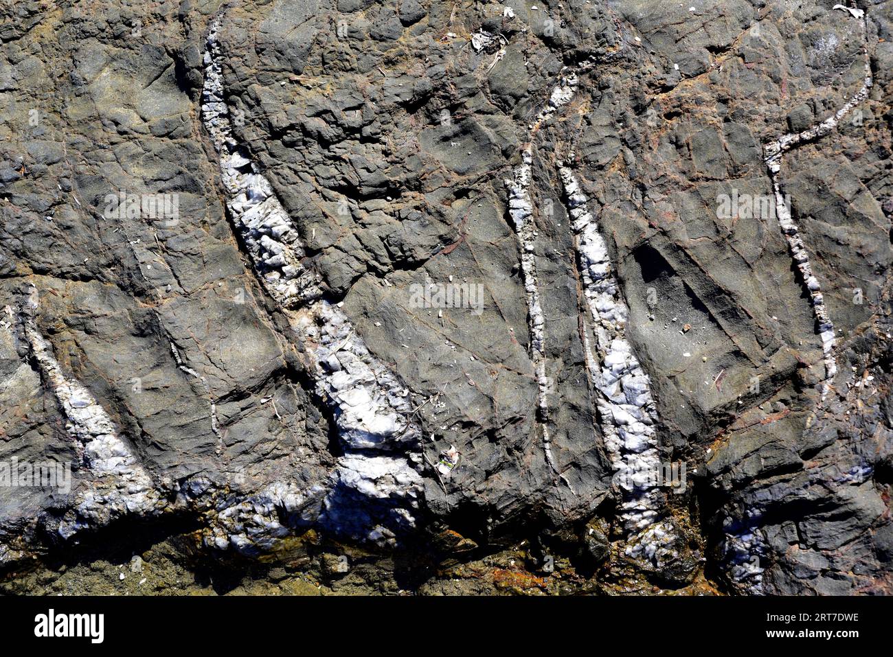Quartz reef break thorugh schist. This photo was taken in Cap Ras ...