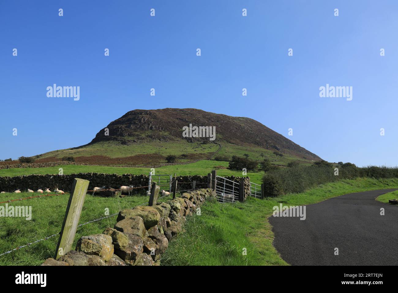 Slemish Mountain viewed from roadside against backdrop of blue sky on ...
