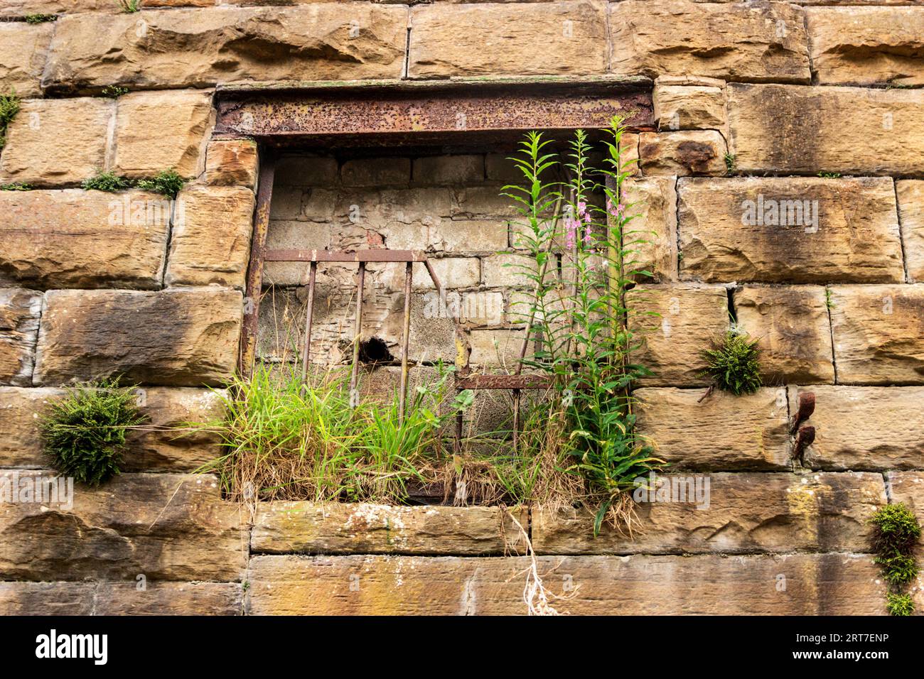 Blackburn Union Workhouse Stock Photo - Alamy