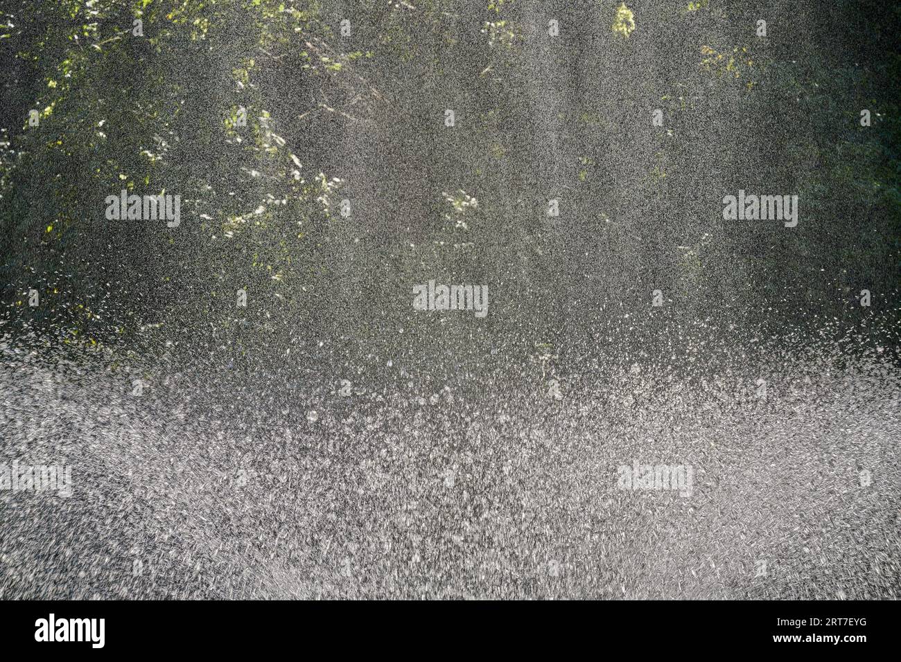 Water droplets and mist over fountain Wroclaw Botanical gardens poland ...