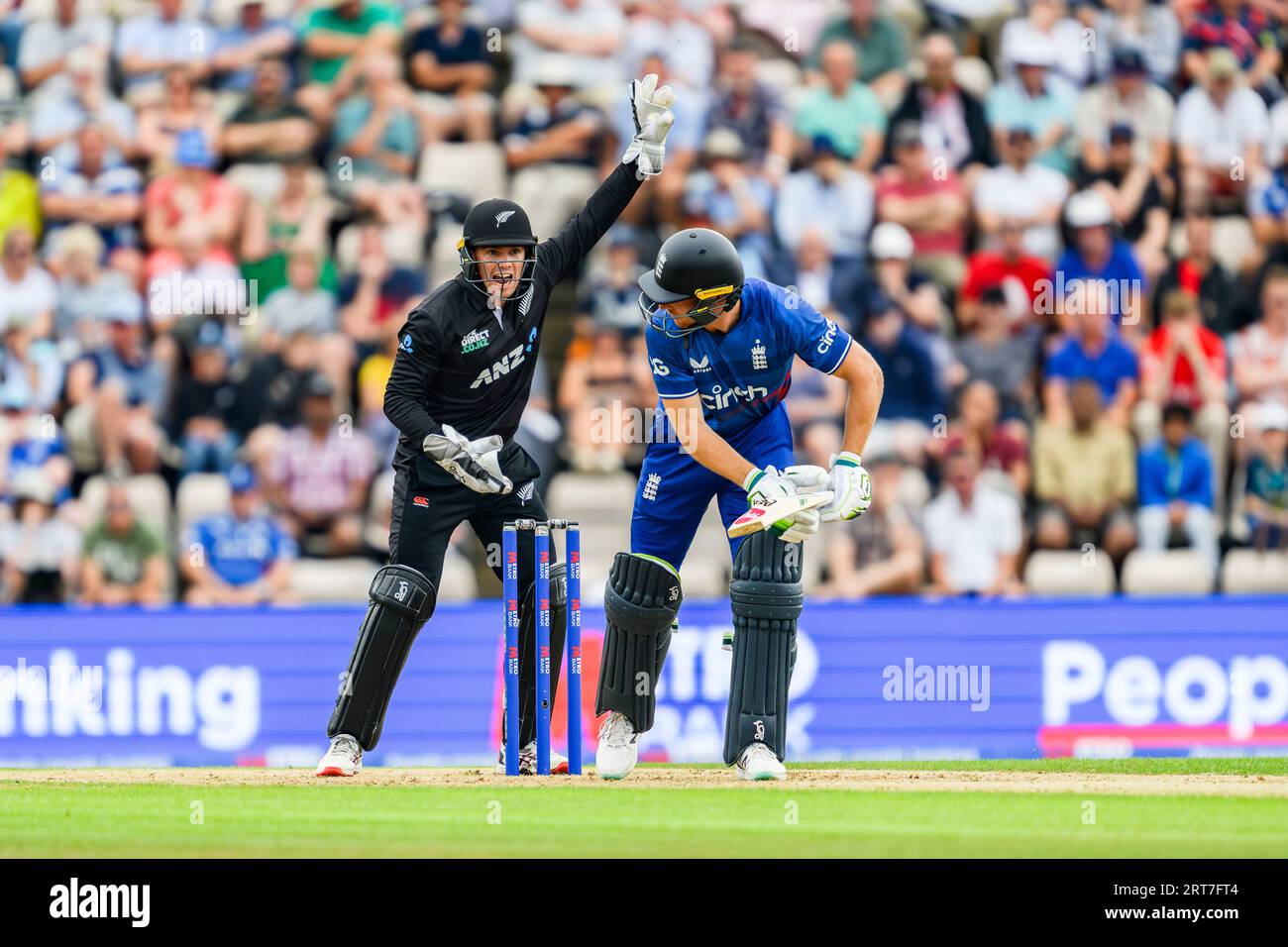 Tom latham new zealand hi-res stock photography and images - Alamy