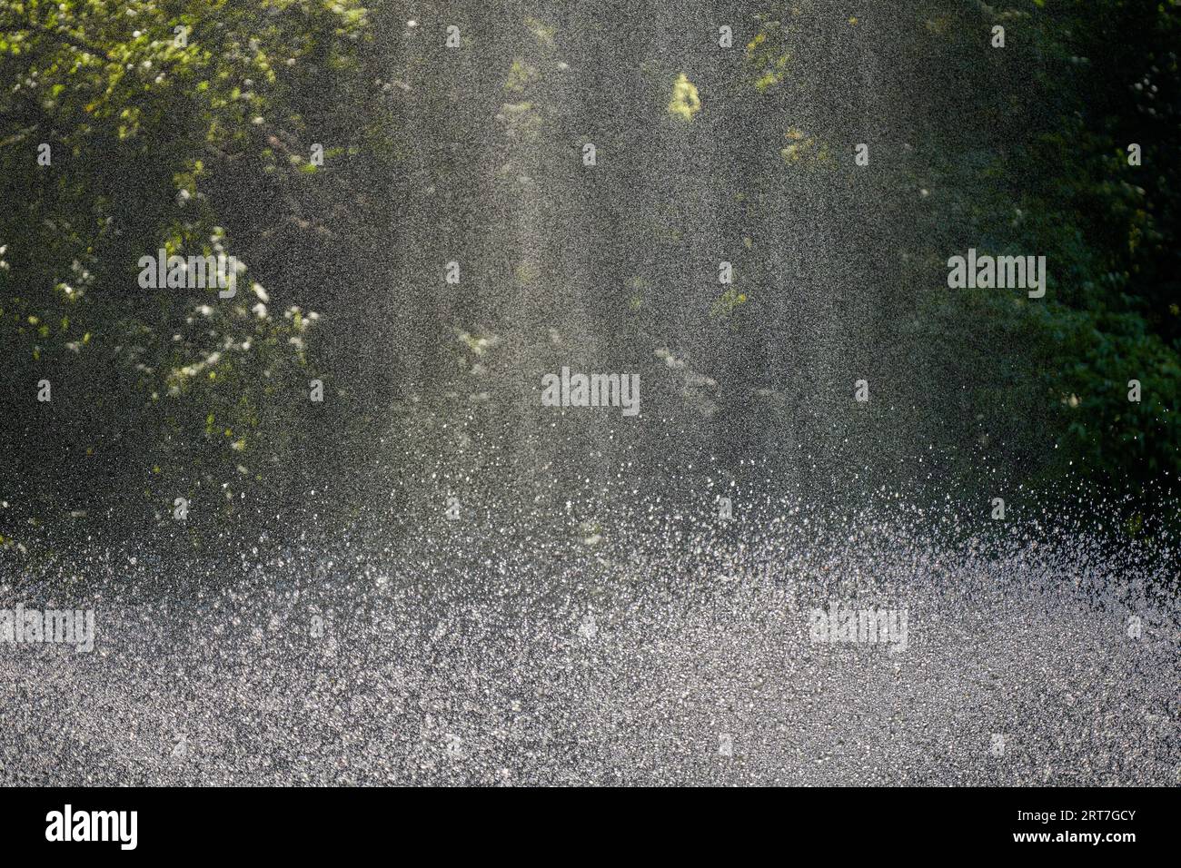 Water droplets and mist over fountain Wroclaw Botanical gardens poland ...