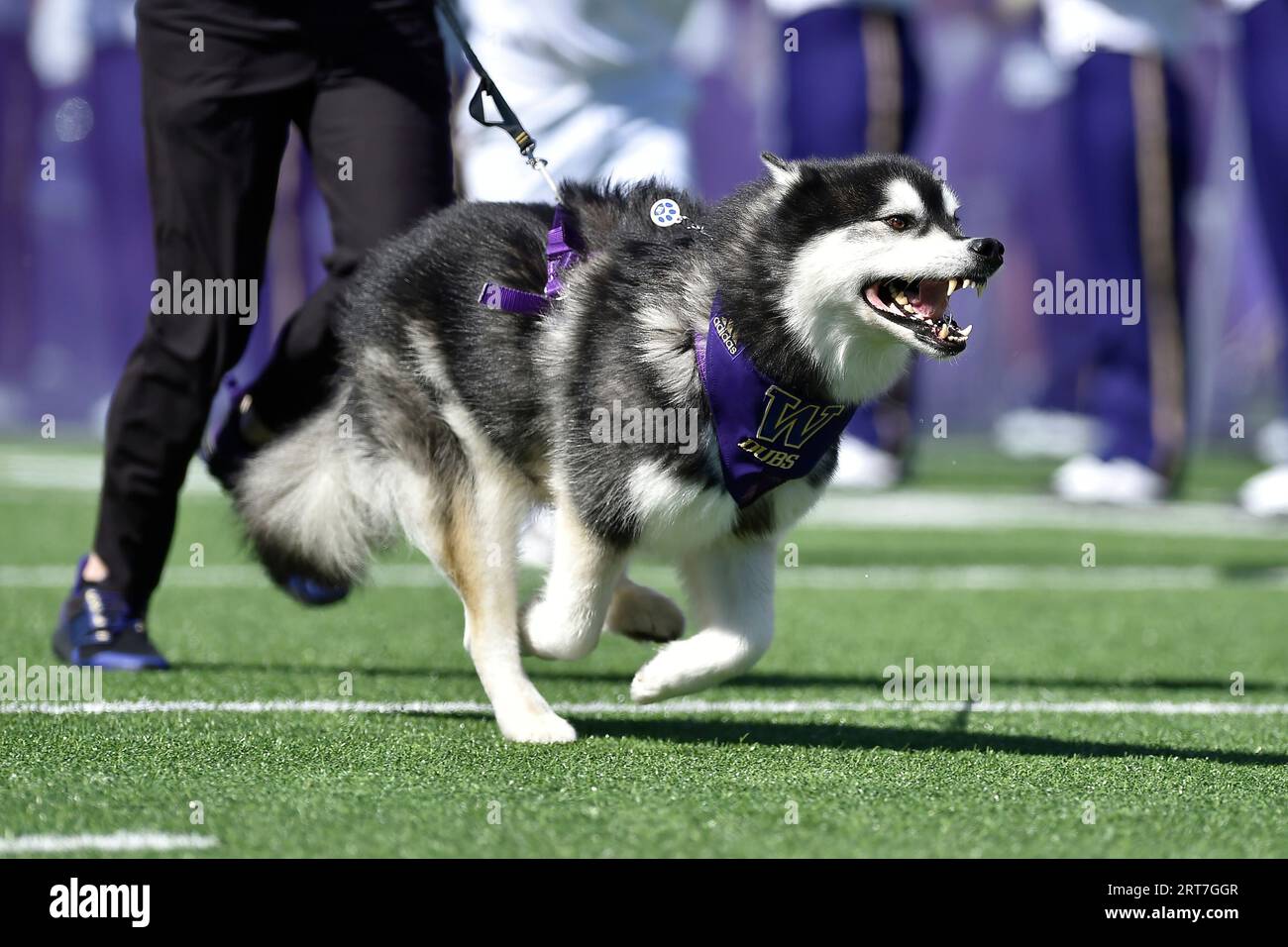 Seattle, United States. 09th Sep, 2023. September 09, 2023: The ...