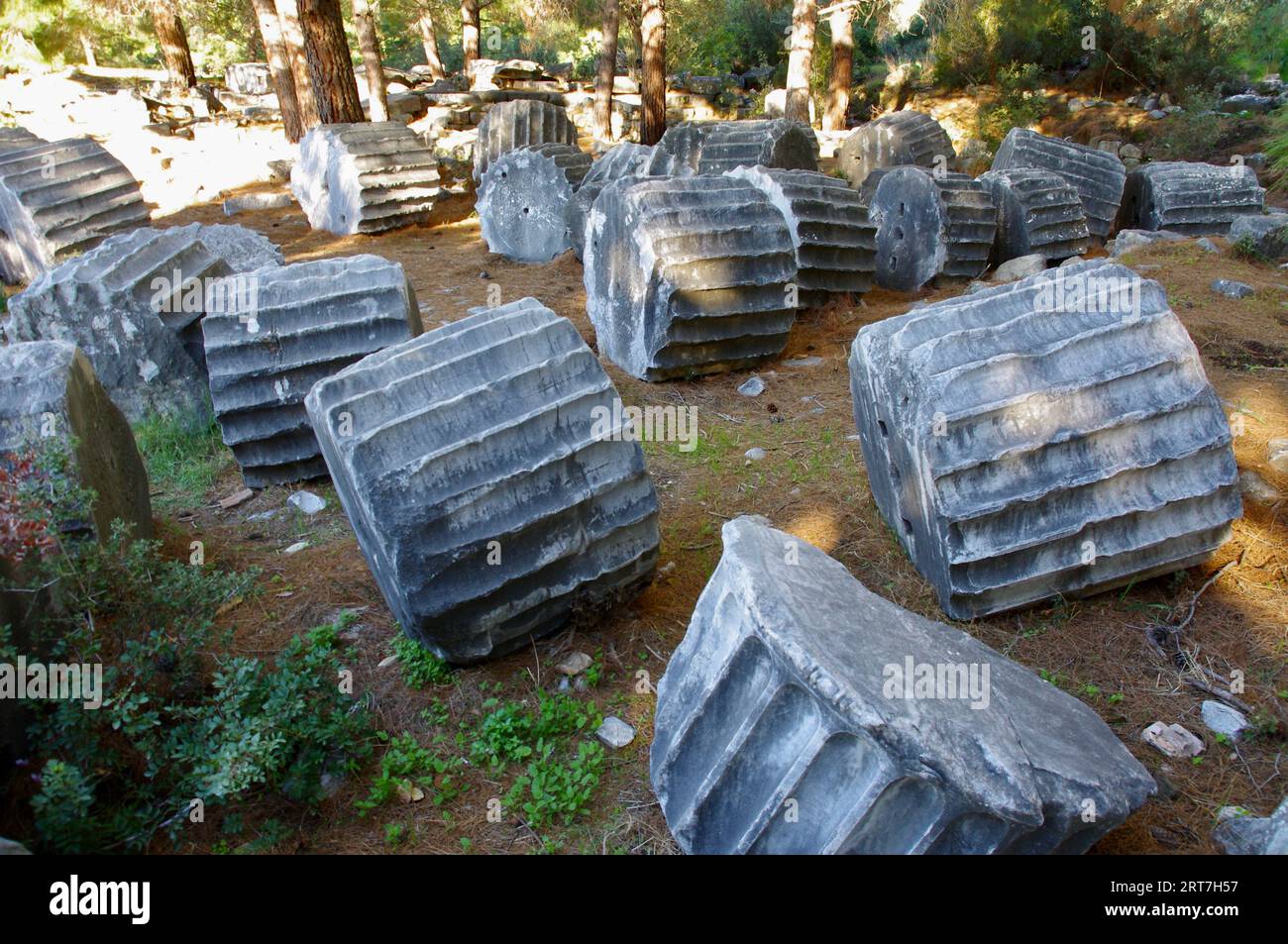 Fallen column segments at The Temple of Athena Polias. Priene, Turkey ...