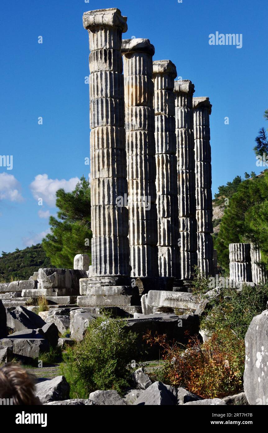 Ancient columns at The Temple of Athena Polias from 350-330 BC. Priene ...