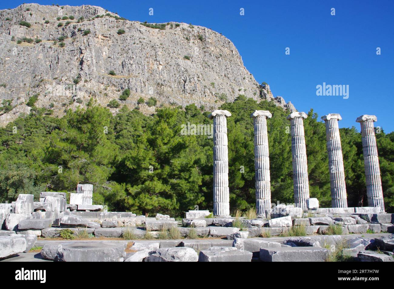 Ancient columns at The Temple of Athena Polias from 350-330 BC. Priene ...