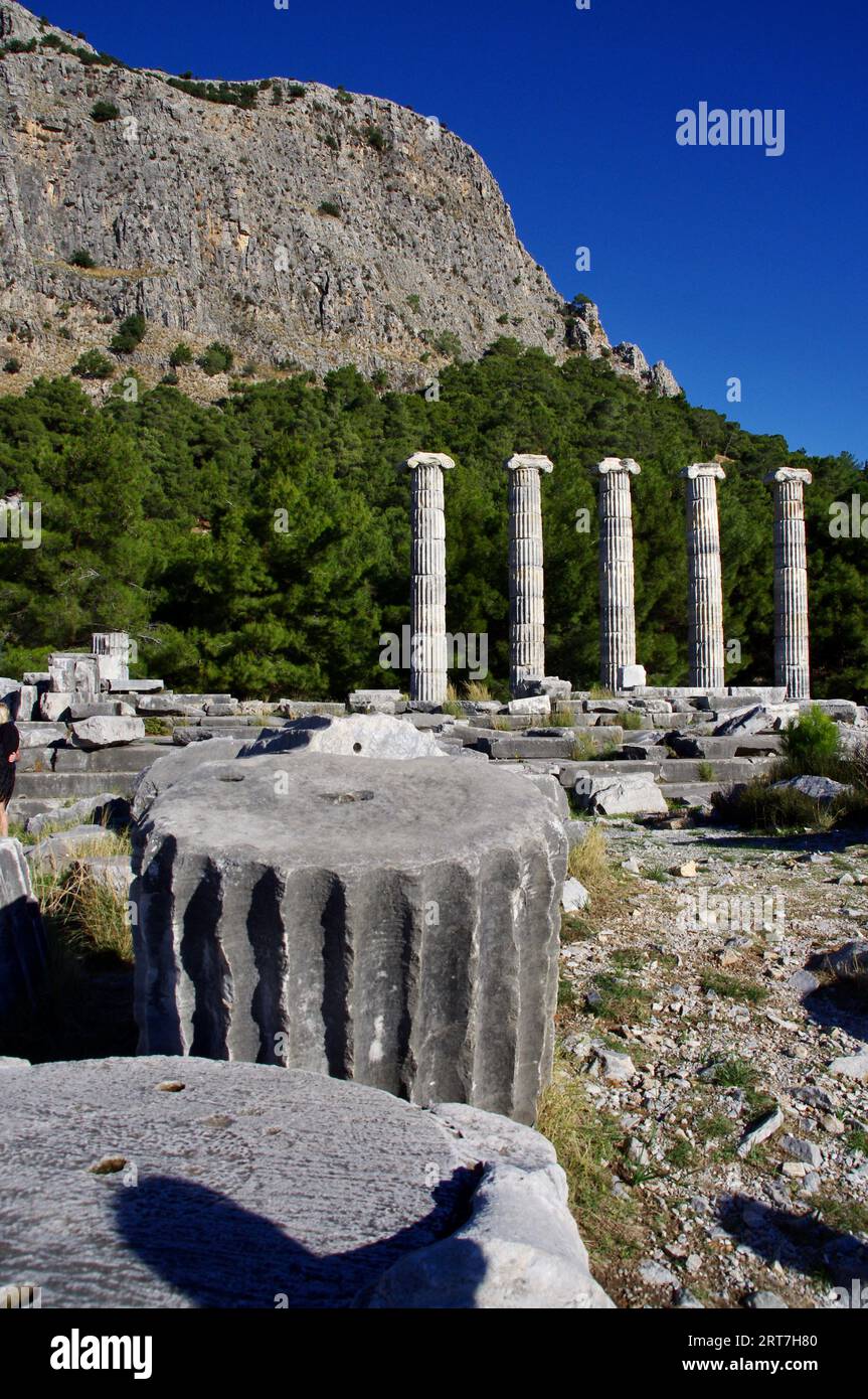 Ancient columns at The Temple of Athena Polias from 350-330 BC. Priene ...