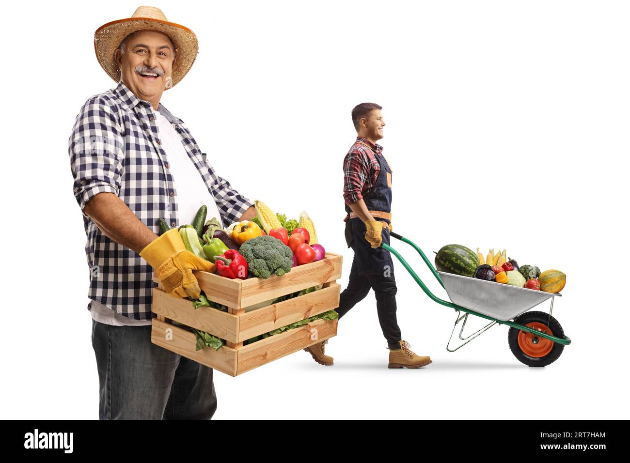 Mature farmer holding a crate with fruits and vegetables and a younger ...