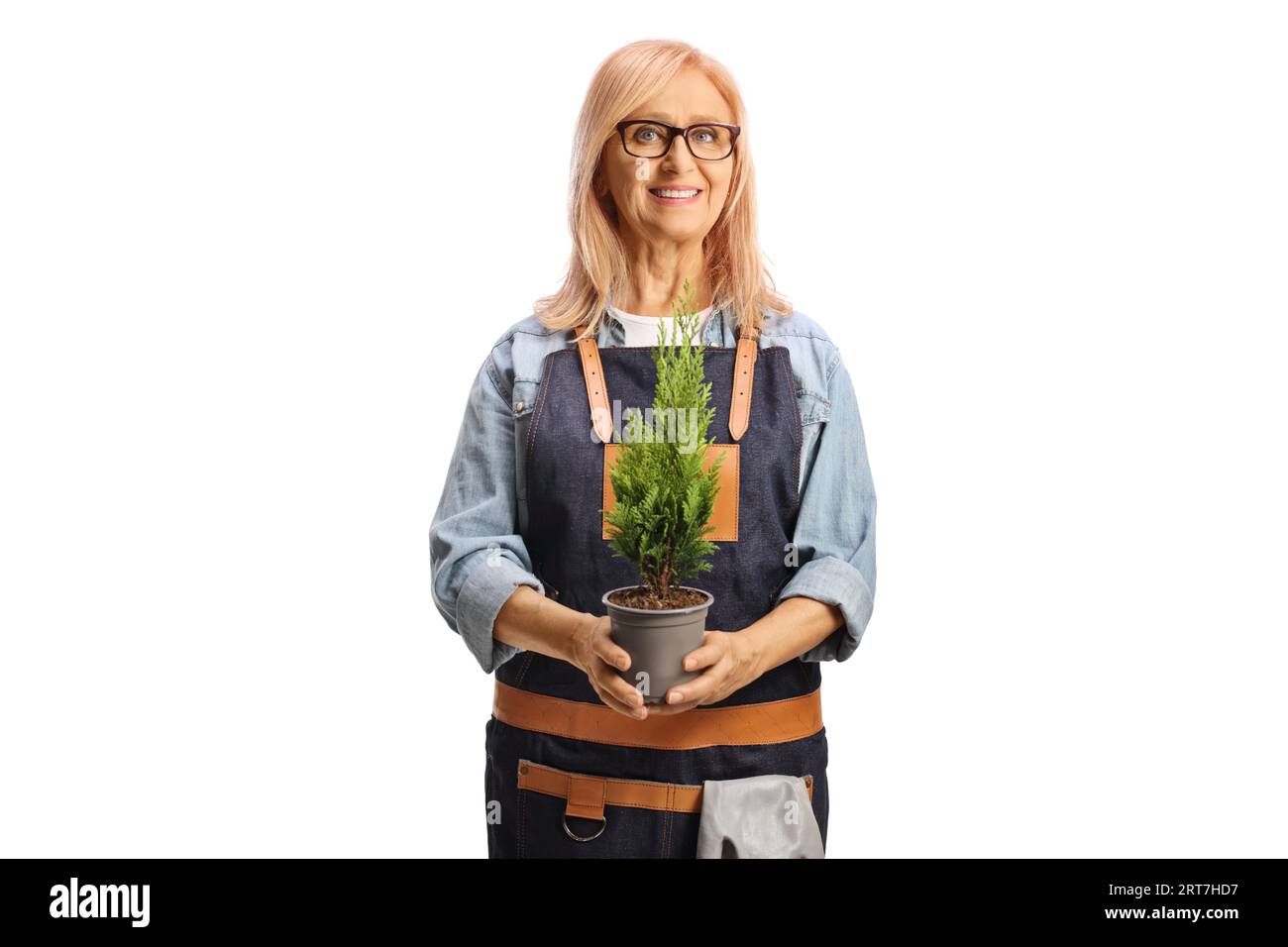 Female gardener holding a small evergreen tree in a pot isolated on ...