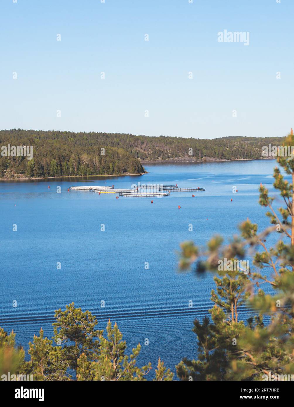 Finland fish farming hi-res stock photography and images - Alamy